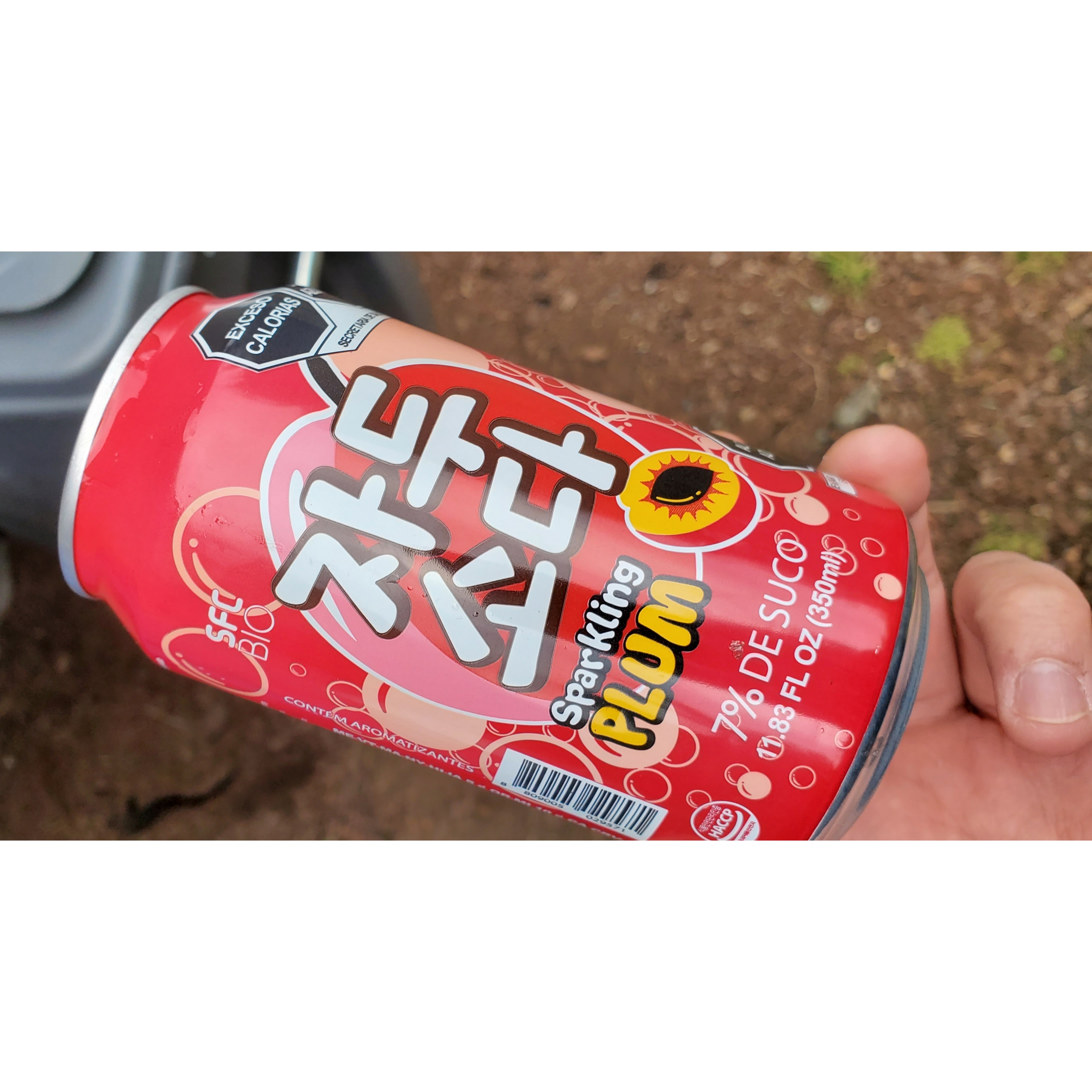 Sprkling Plum Soda – hello27.net