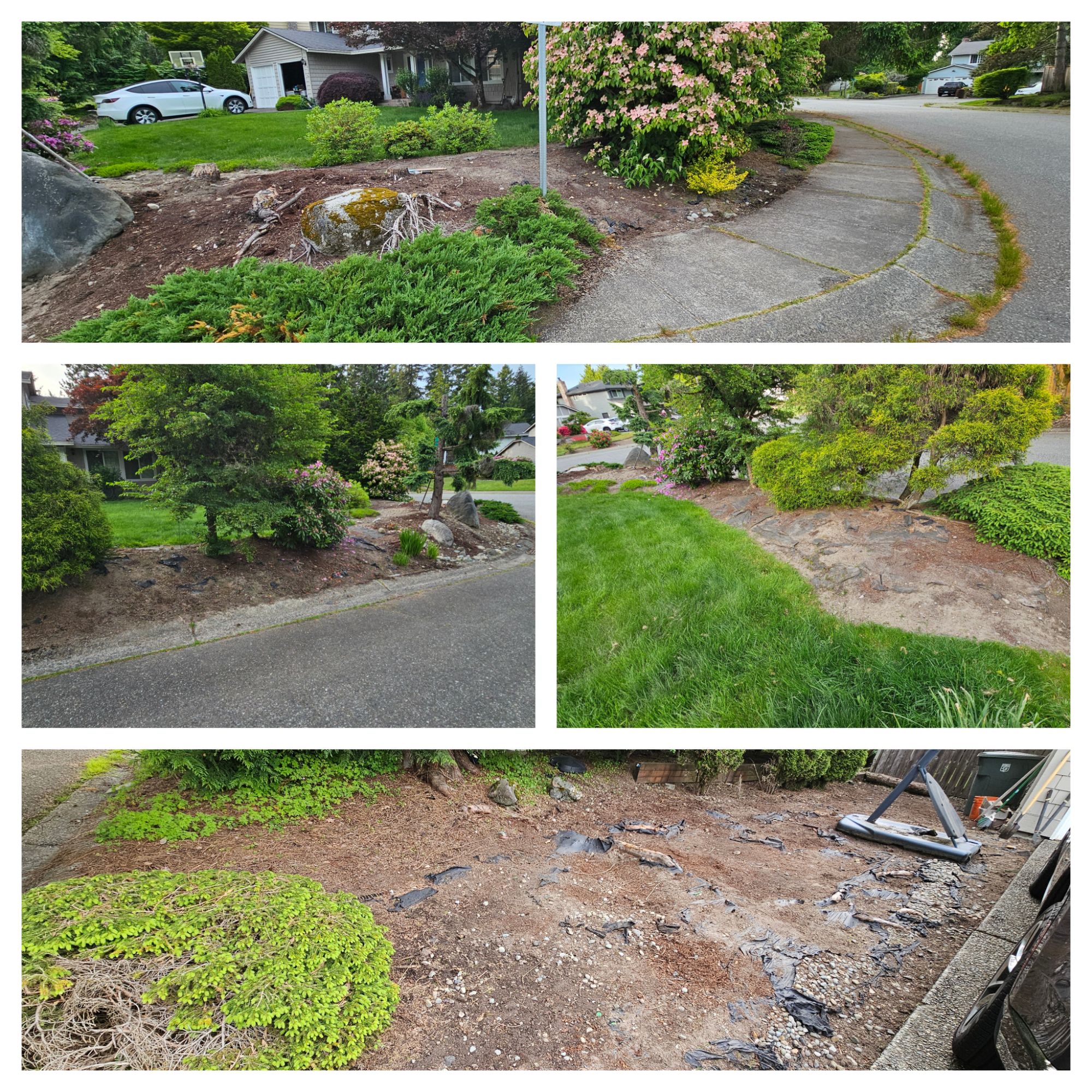 2026 Front Yard Weed Control: The End – hello27.net